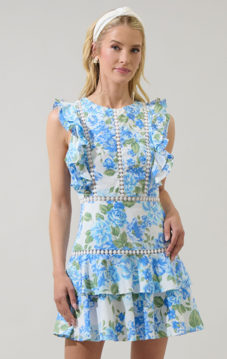 Reina Ruffle Mini Dress – LibbyKat